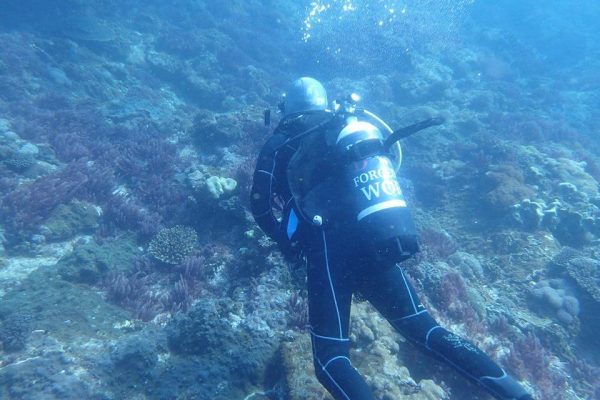 Graffiti Scuba – Custom Tank Wraps For Serious Scuba Divers