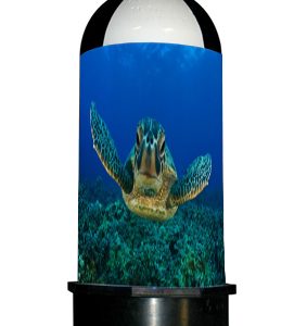 Graffiti Scuba – Custom Tank Wraps For Serious Scuba Divers